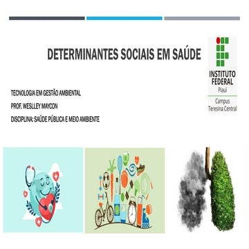 MATERIAL DIDÁTICO SOBRE DETERMINANTES SOCIAIS EM SAÚDE.pdf