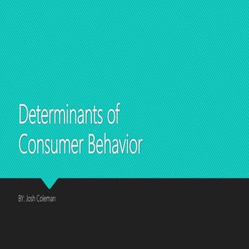 Determinants of Consumer Behavior | PPTX
