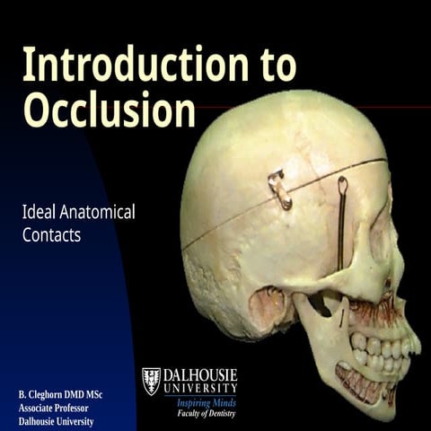 Determinants of Occlusion [EDocFind.com].ppt