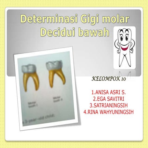 Determinasi gigi molar decidui bawah syiiiik | PPTX