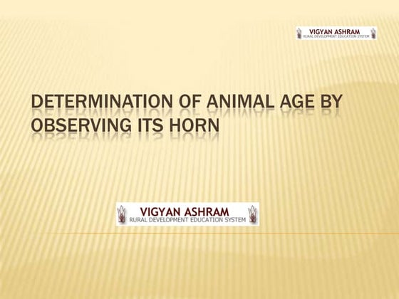 Animal handling & Restrain | PPT