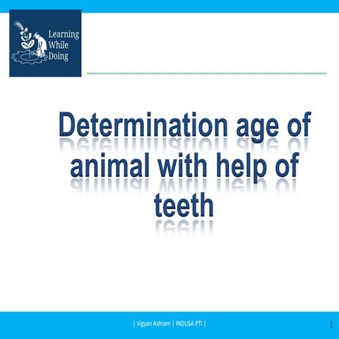 Dentition of sheep and goat | PPTX