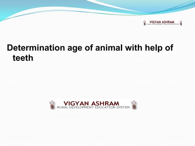 Dentition of sheep and goat | PPTX