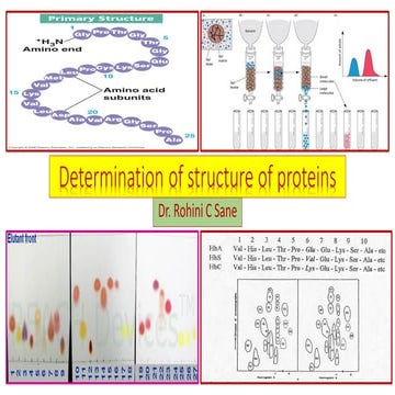 Determination of structure of proteins | PDF