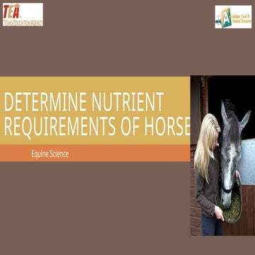 Determine nutrient requirement for horses.ppt