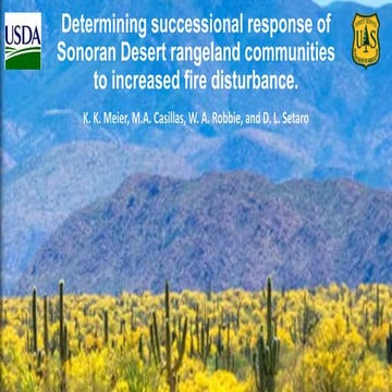 Determining successional response of sonoran desert rangeland ...