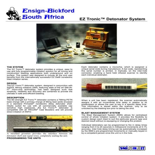 Detonator system | PDF