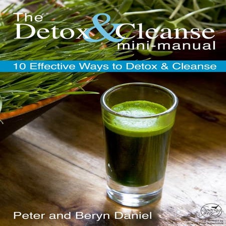 Detox cleanse mini manual | PDF
