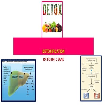 Detoxification | PDF