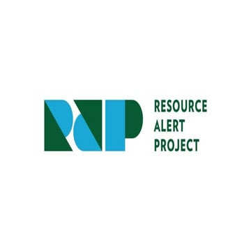 Detroit Youth Resource Alert Project (RAP) Summary | PPT