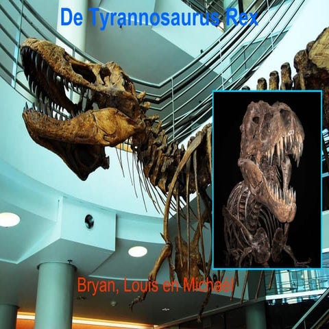 De Tyrannosaurus Rex 01 | PPT | Reptiles | Pets