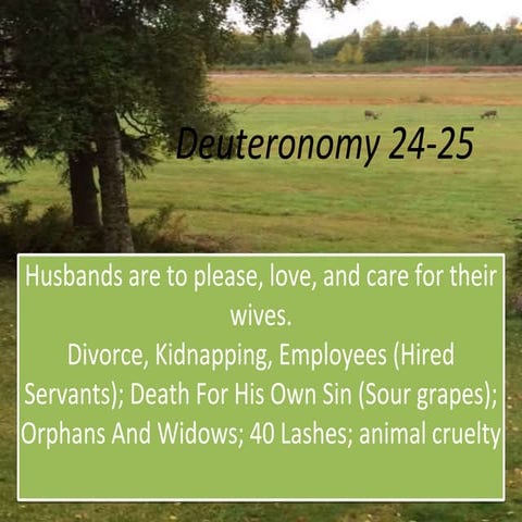 Deuteronomy 24-25, 40 Lashes, animal cruelty, Kidnapping, Employees ...