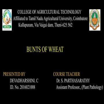 Bunts of wheat | PPTX