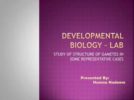 Structure of human sperm and ovum | PPT