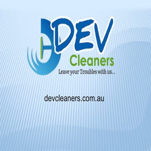 Dev cleaners | PDF | Bath and Shower | Personal Care