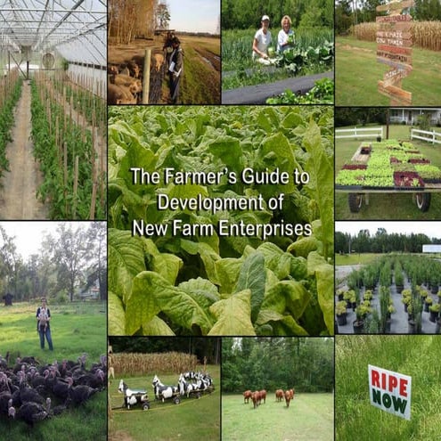 The Farmer's Guide to Development of New Farm Enterprises | PDF