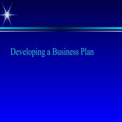 Developing a business plan | PPT