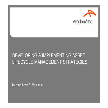 Developing and implementing asset lifecycle management strategies | PDF