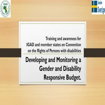 Developing and Monitoring a Gender and Disability Responsive Budget.pptx