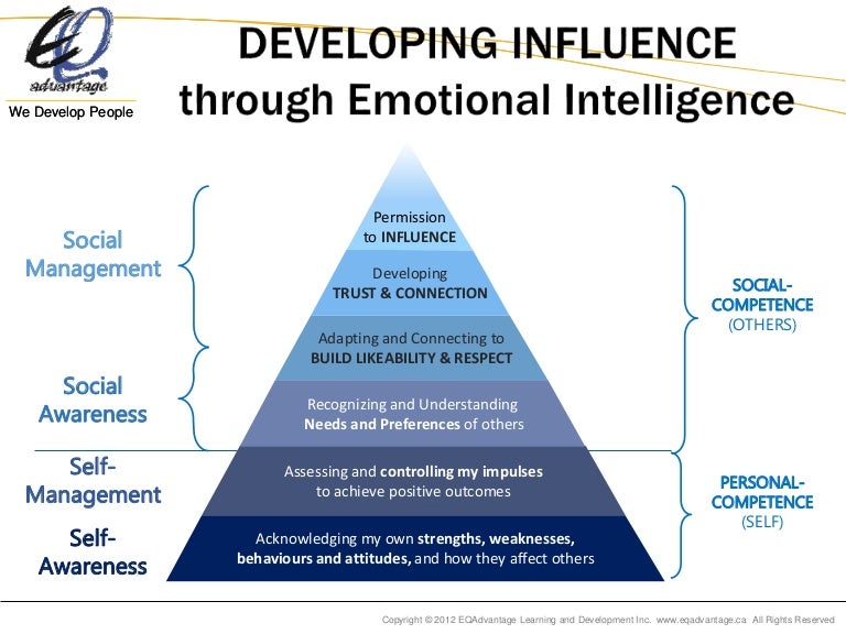 Developing Influence through Emotional Intelligence