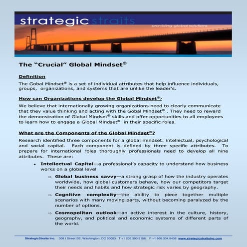 Developing Organizational Global Mindset | PDF