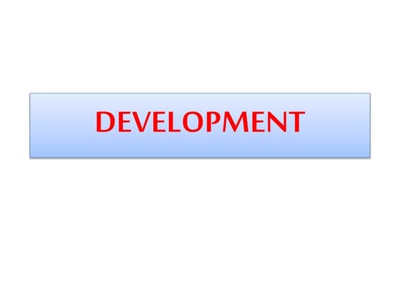 Grade 10 Economics Ch. 1 Development | PDF