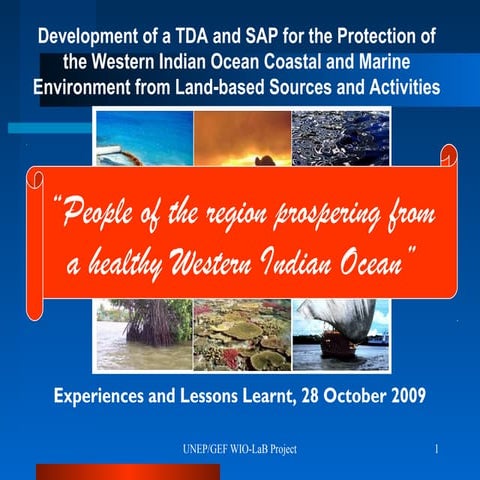 Development of a TDA and SAP for the Protection of the Western Indian ...