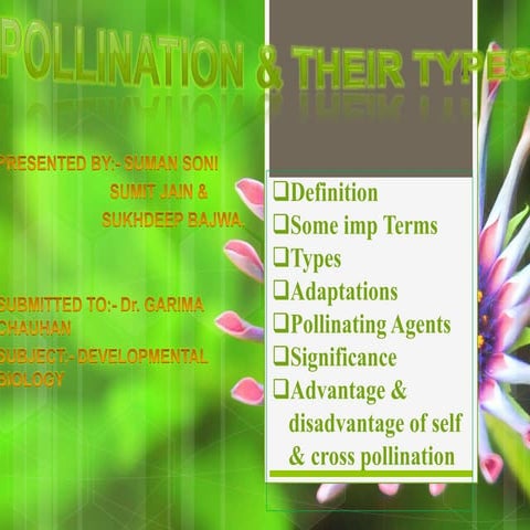 Pollination | PPTX