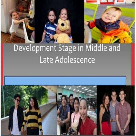 Developmental stages during late and late adolescence | PPT