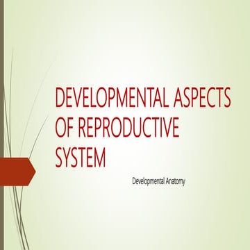 Developmental (Embryological) Aspects of Reproductive System | PPTX
