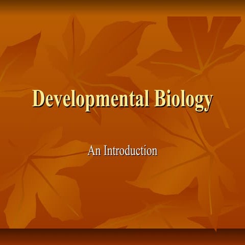 Developmental biology | PPT