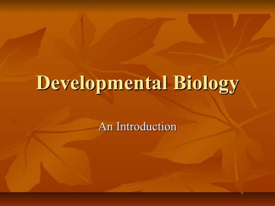 Animal Development | PPT