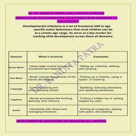 Miller Function and Participation Scales | PPTX