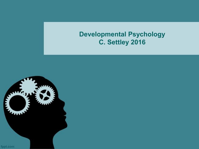 Schaie's cognitive theory | PDF