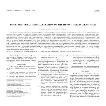 Developmental reorganization of the human cerebral cortex | PDF