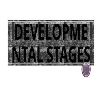 PERDEV MODULE 3 - the developmental stages | PPTX