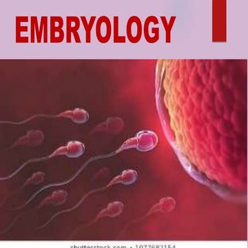 Developmental stages of embryo | PPTX
