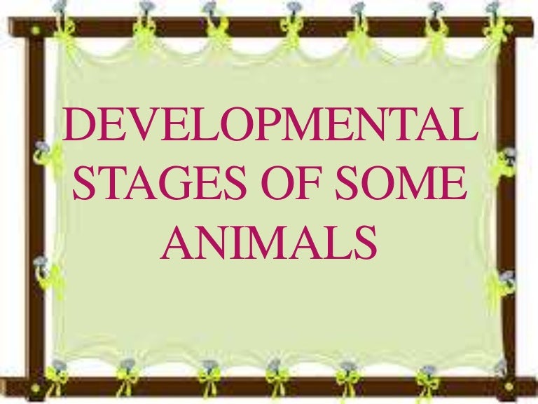 Developmental stages of some animals
