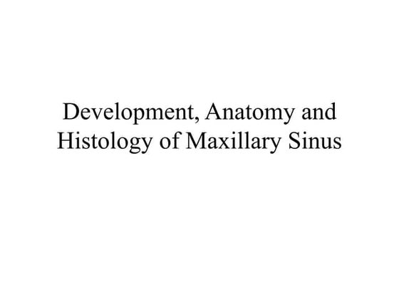 Maxillary sinus | PPTX