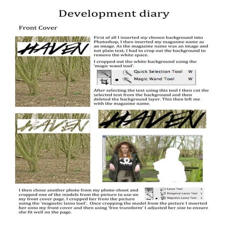 Development diary | DOCX