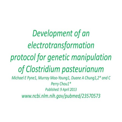 Development of an electrotransformation protocol for genetic ...