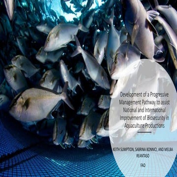 Biosecurity In Aquaculture: An Overview – MRQO