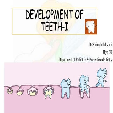 Development of a teeth part i | PPTX