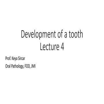 Development of a tooth Lecture 4 revised .pptx