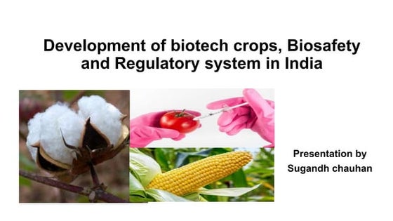 Bt Cotton Development Stages | PPT