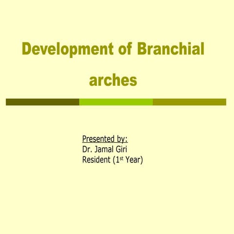 Developmentof branchial arches 23 0ct 2011 | PPT