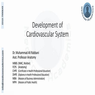 Development of Cardiovascular System.pdf