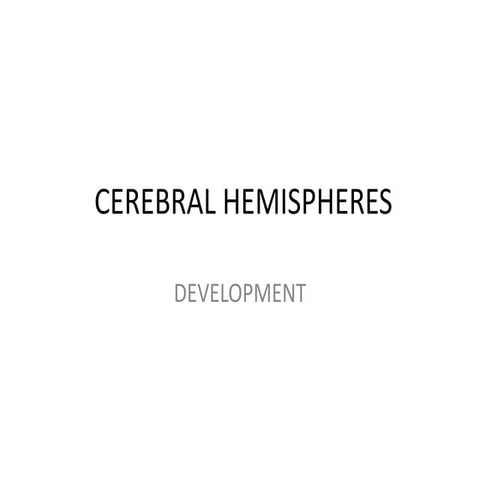 Development of cerebral hemispheres | PPTX