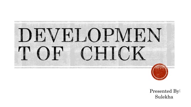 Development of chick | PDF