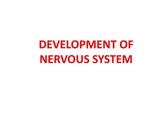 Development of CNS | PPT
